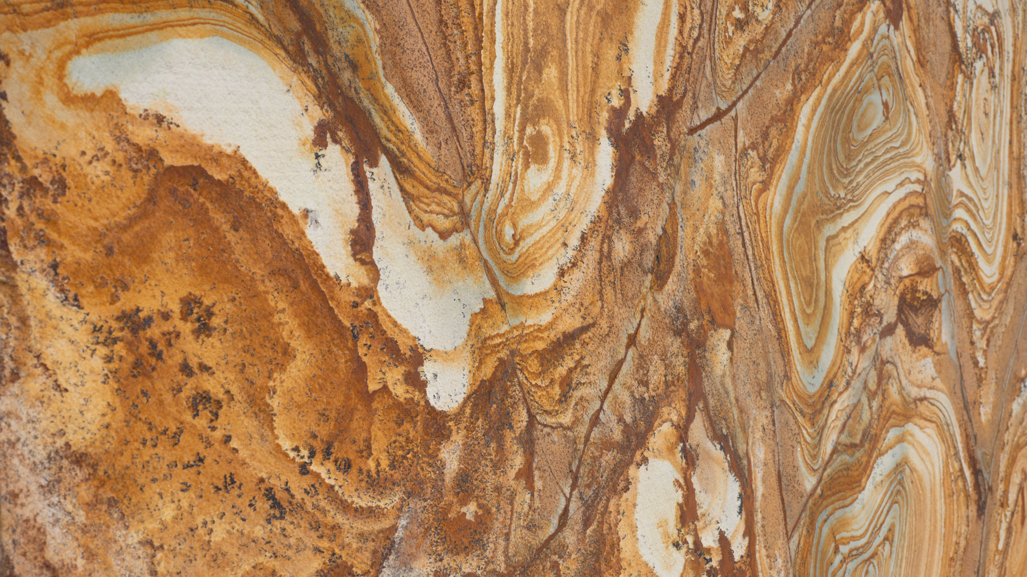 Stone Wood - AVANDAD