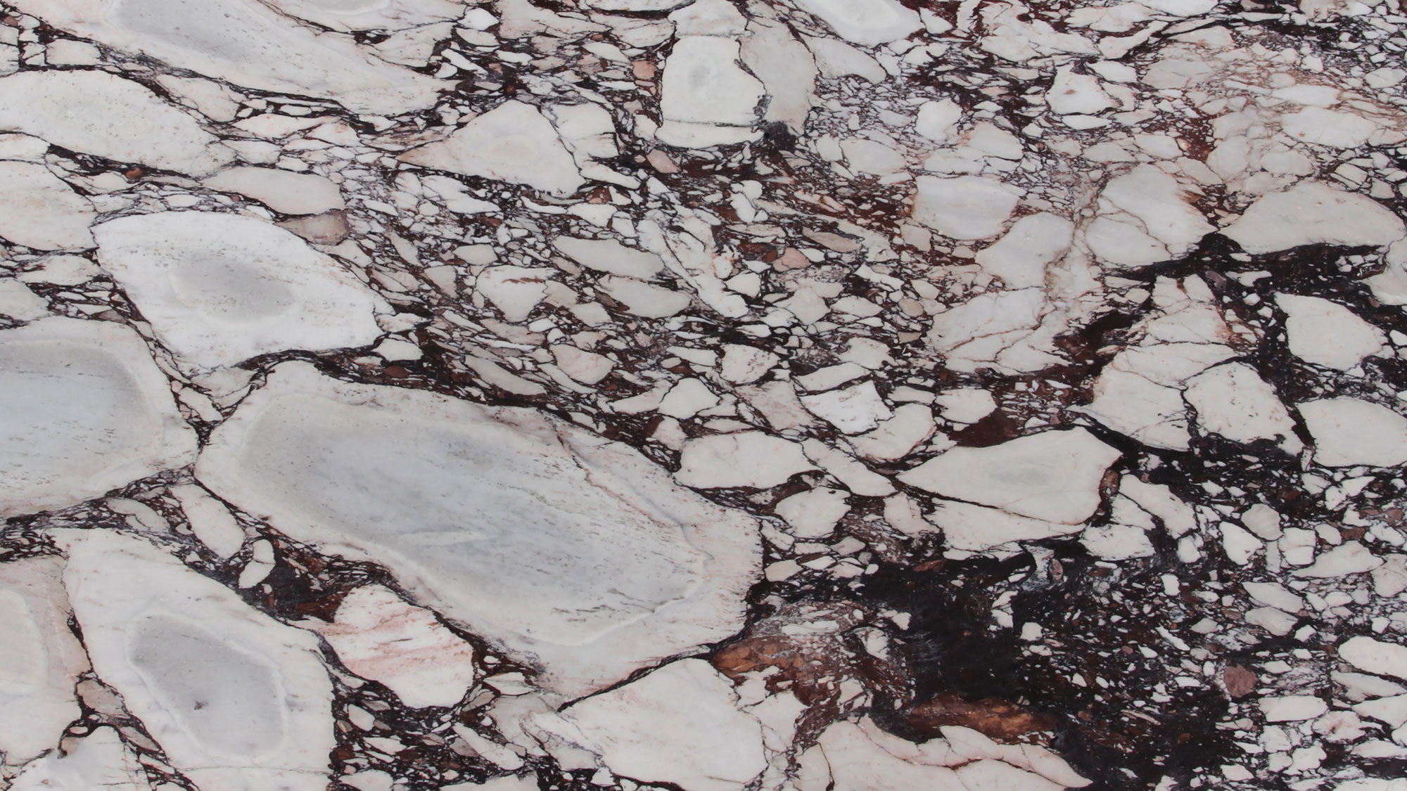 Calacatta Viola - AVANDAD