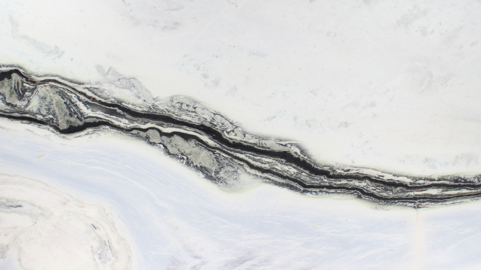 Dalmata Blue - AVANDAD