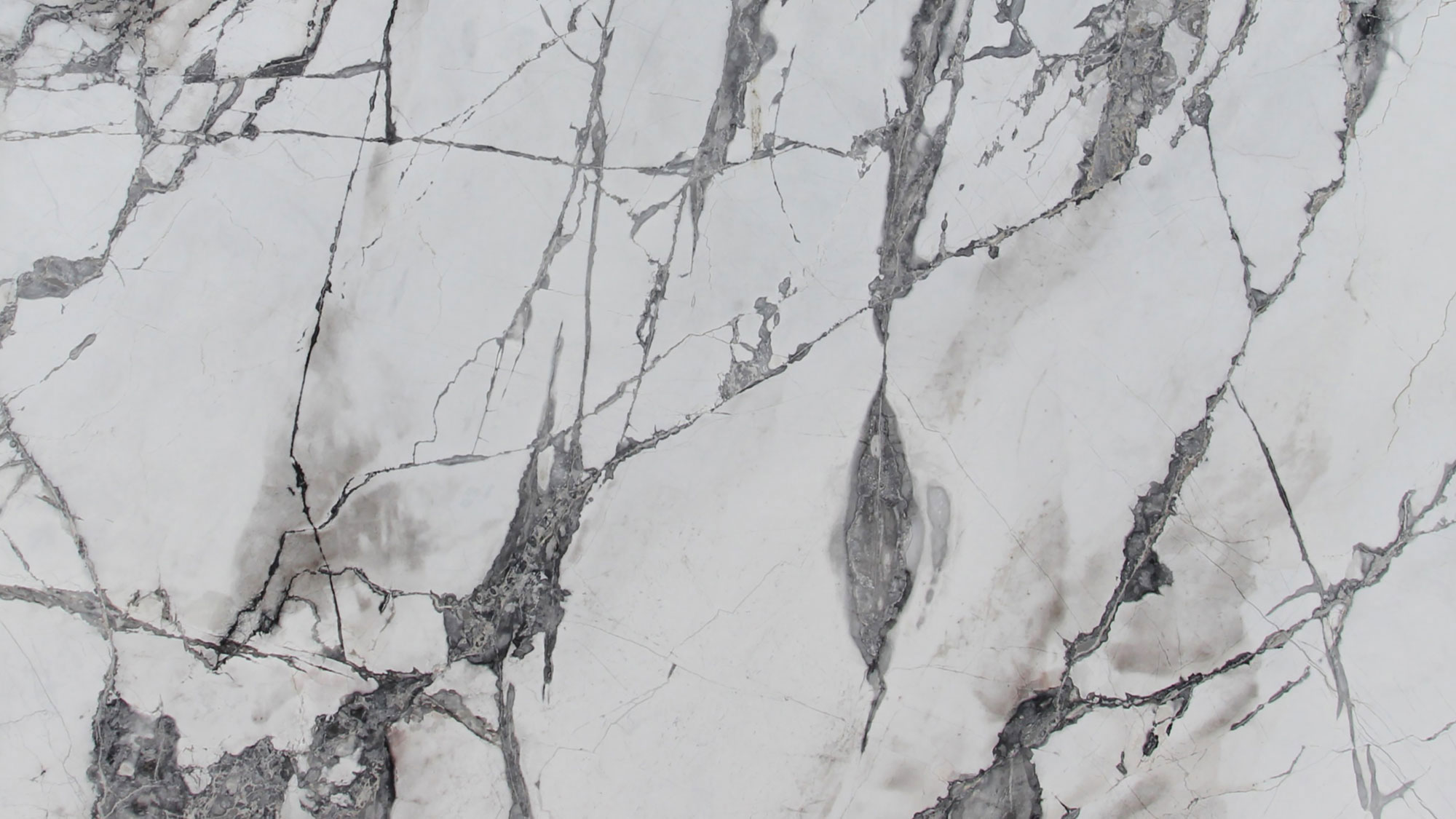 Invisible Light - AVANDAD