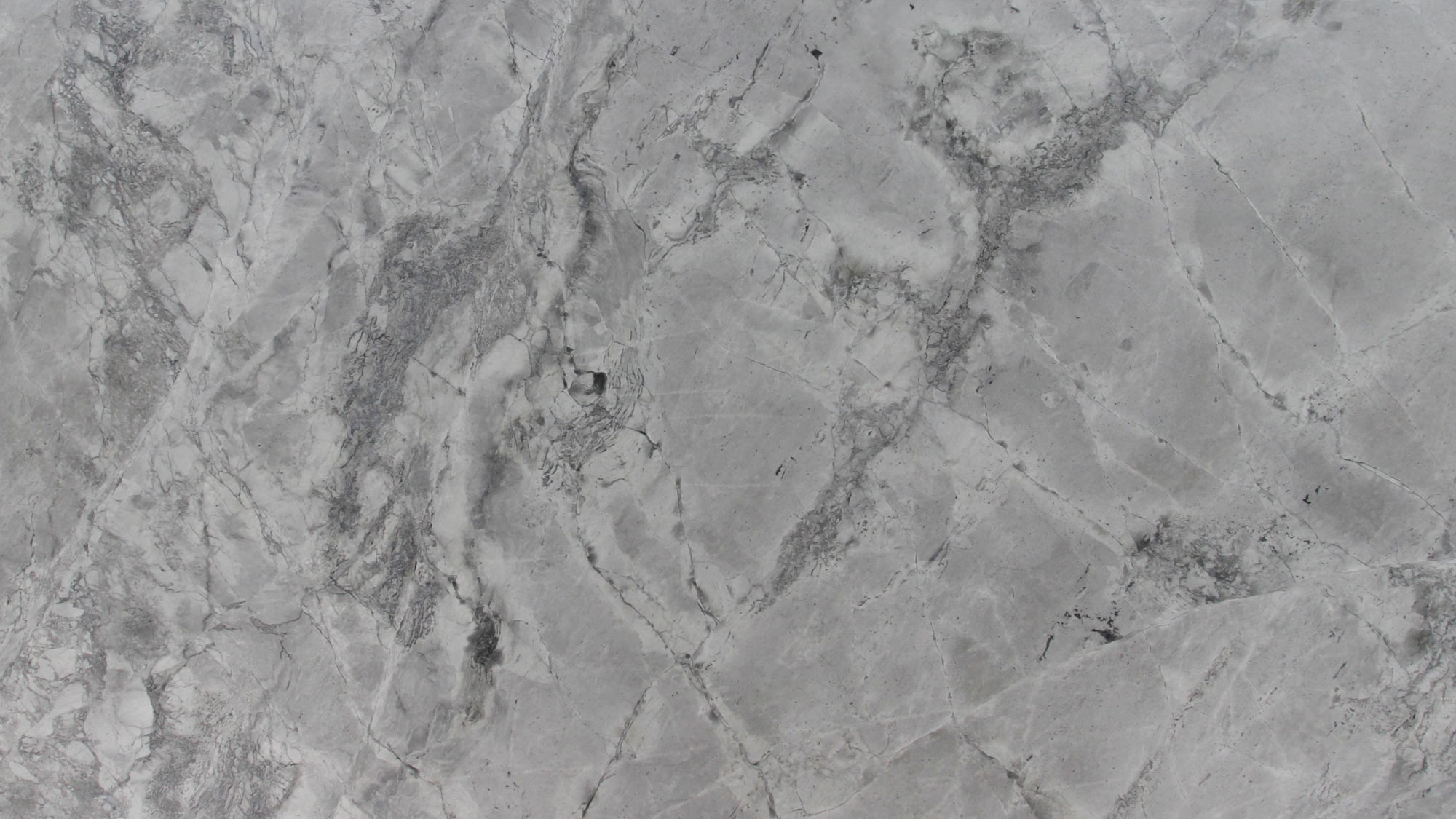 Super White Top - AVANDAD