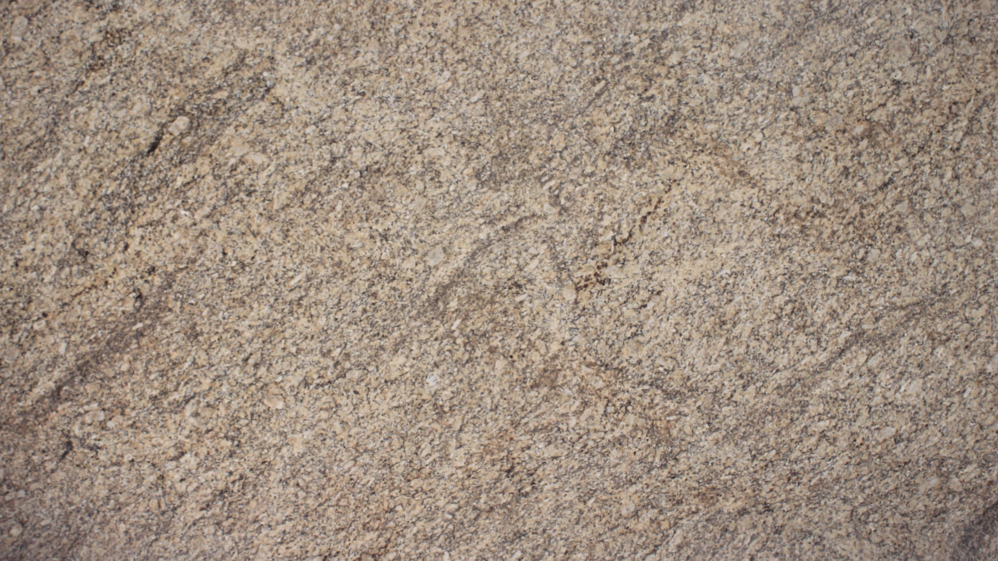 Super Gold - AVANDAD